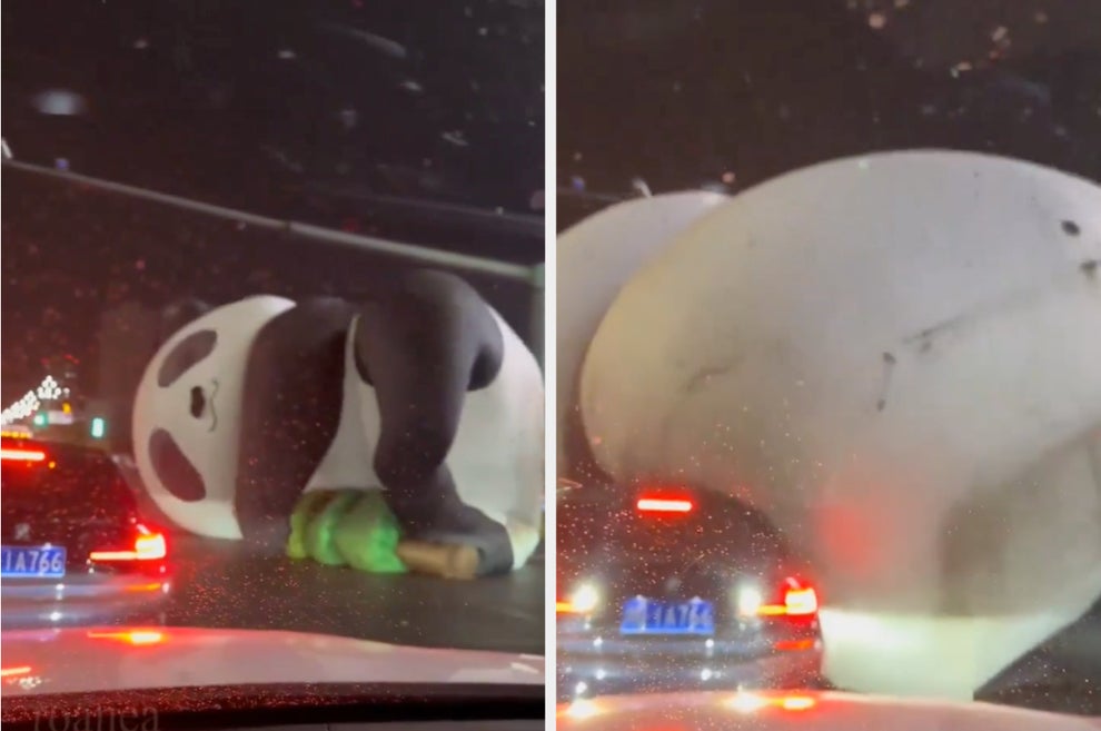 15 Photos Of Scarily Large Objects That'll Make You Feel Small