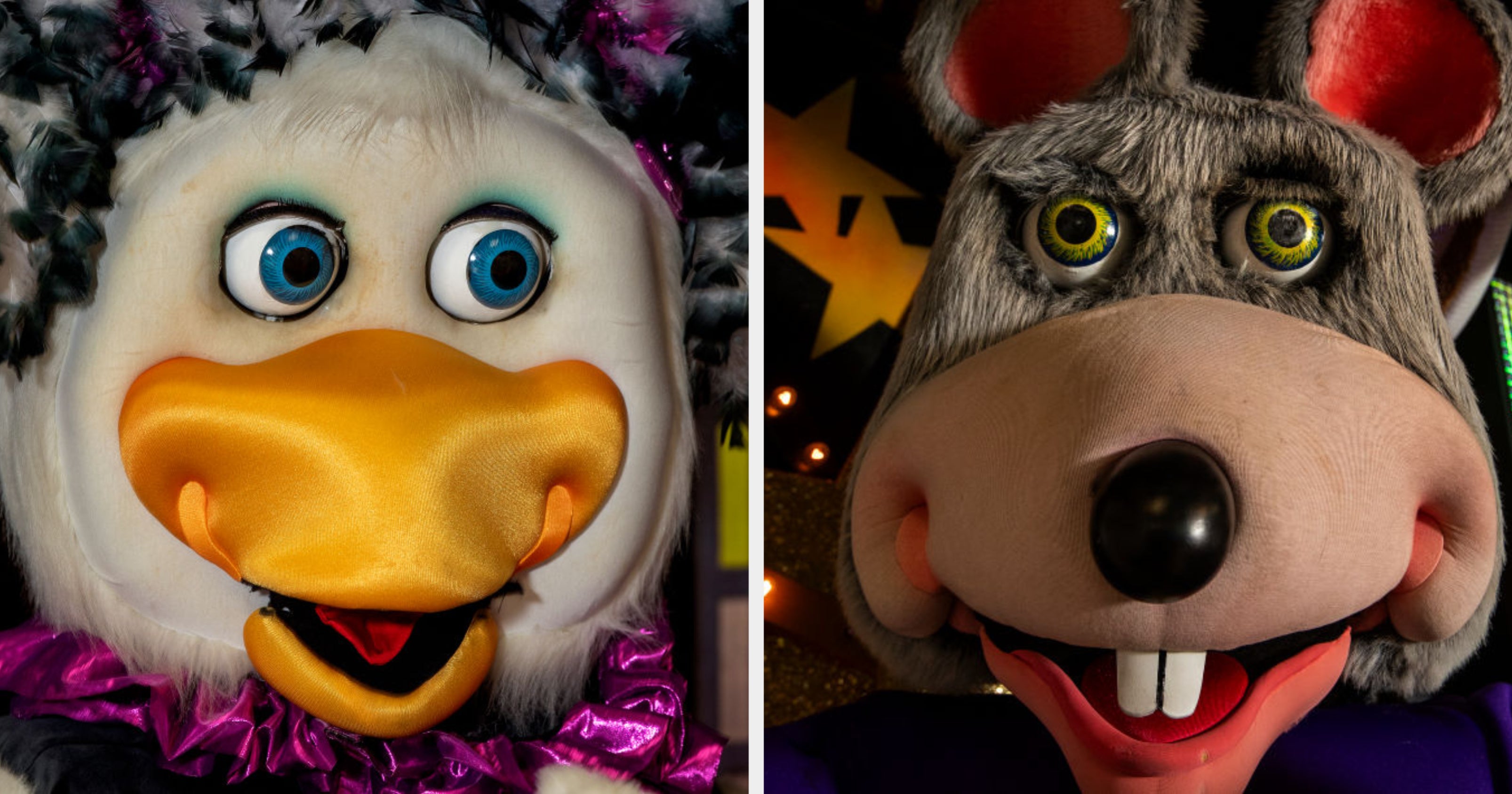 Discover Which Member Of The Chuck E. Cheese Band Best Reflects Your ...