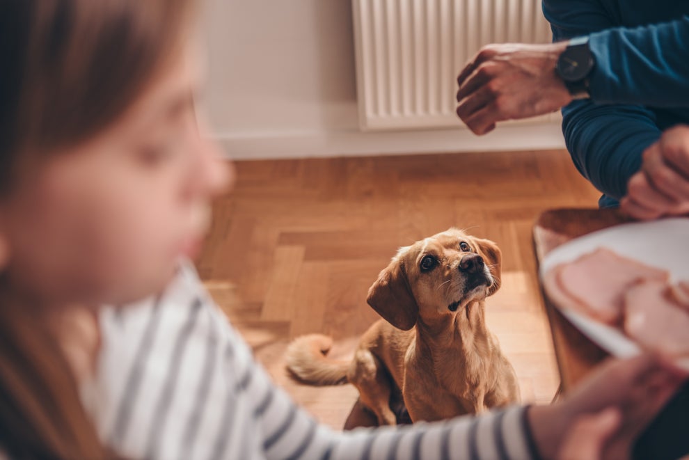 Avoid These 11 Rude Acts in Others' Homes, Experts Warn