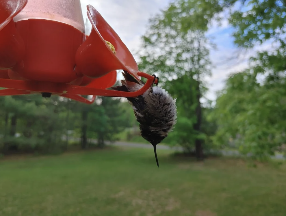 19 Brain-Scrambling Photos That'll Make You Think