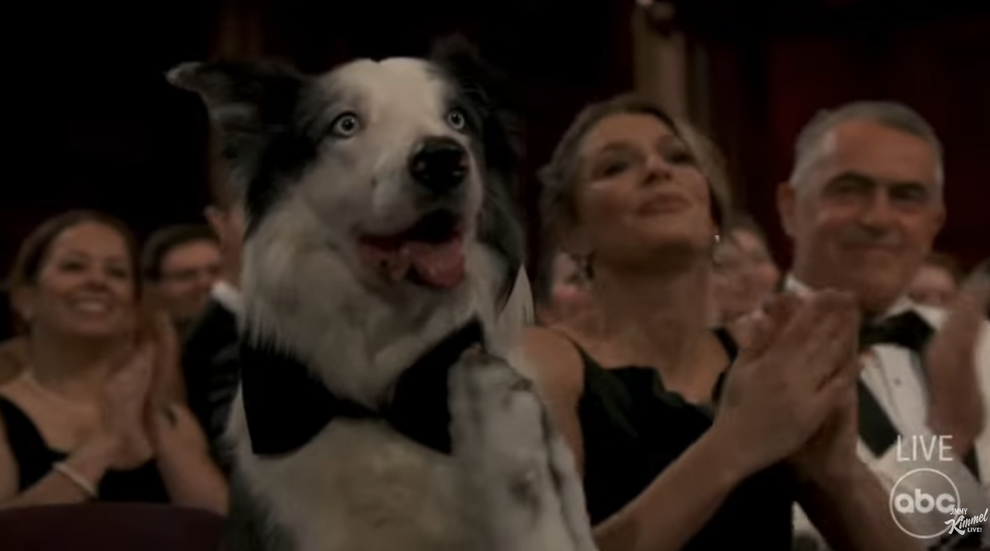 Oscars Producer Explains Messi The Dog's Viral Clapping Moment