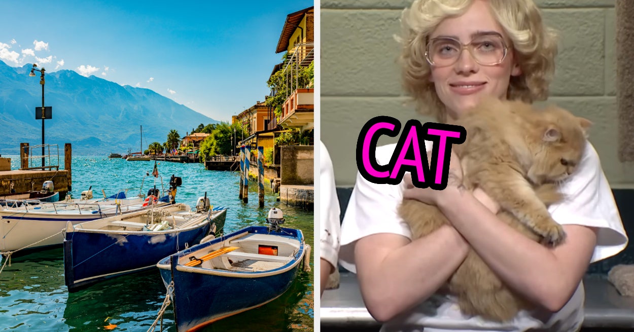 Travel Around World Guess Favorite Animal Quiz