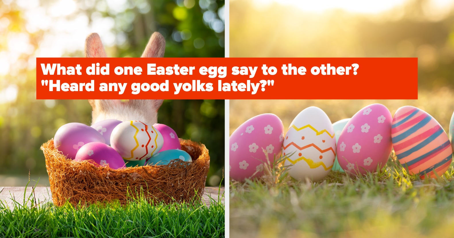 80 Funny Easter Jokes That'll Crack You Up
