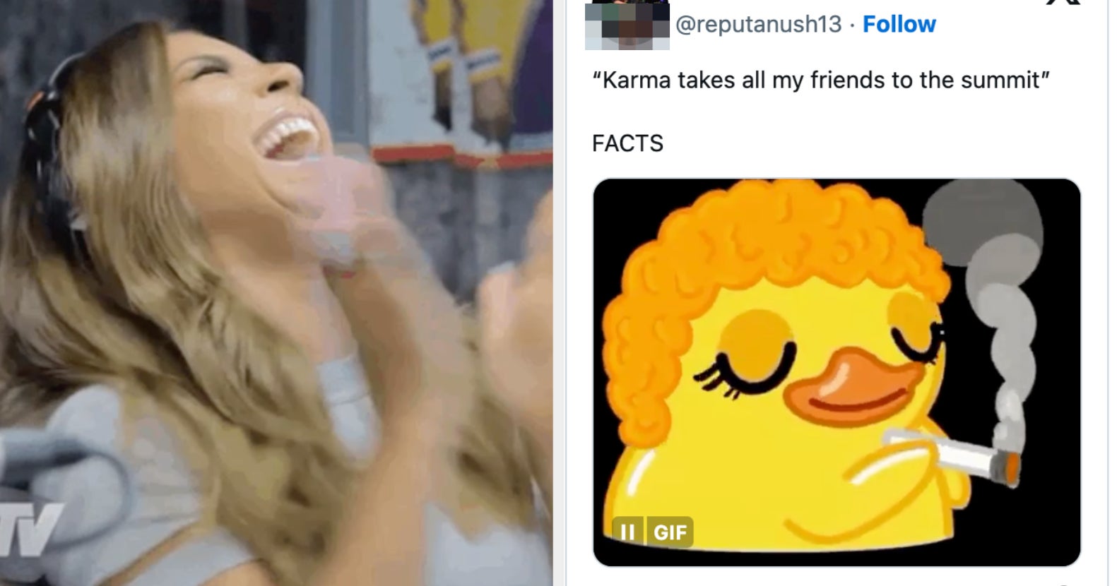 57 Of The Best Viral Duck Smoking Memes