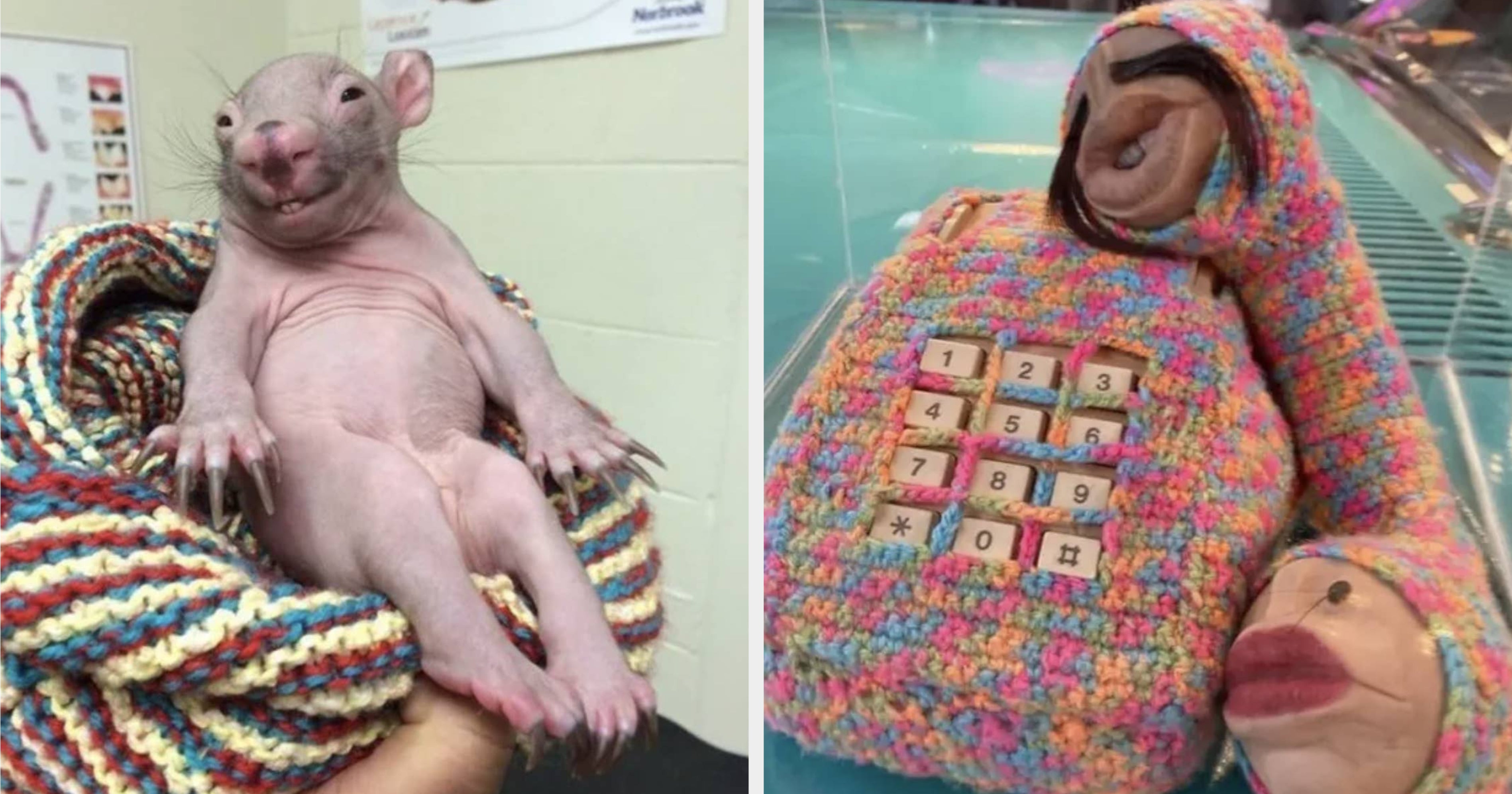 Visual Shock: 16 Images That Will Scramble Your Brain