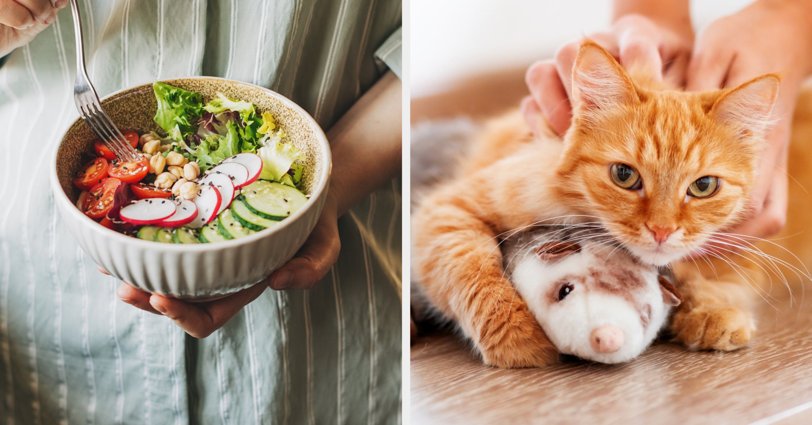 Eat A Huuuuge Meal And I'll Reveal Which Animal Best Represents You