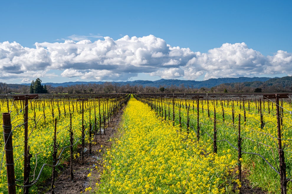 19 Underrated Hidden Gems In California