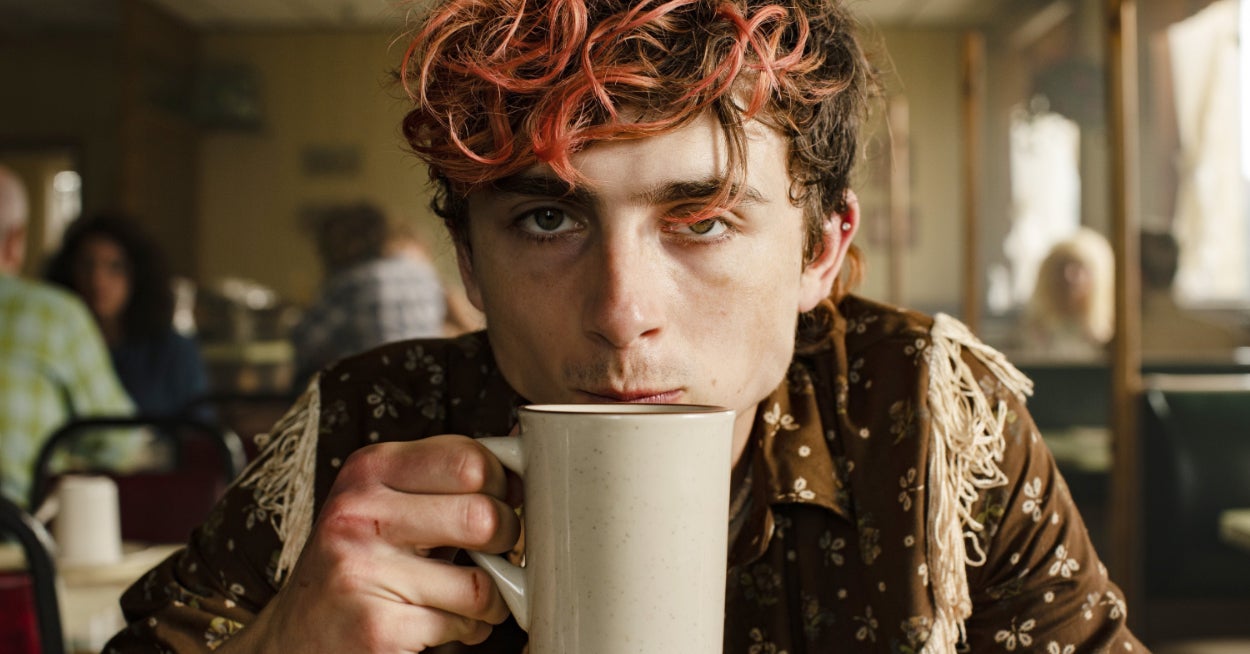 Timothée Chalamet Character Personality Quiz