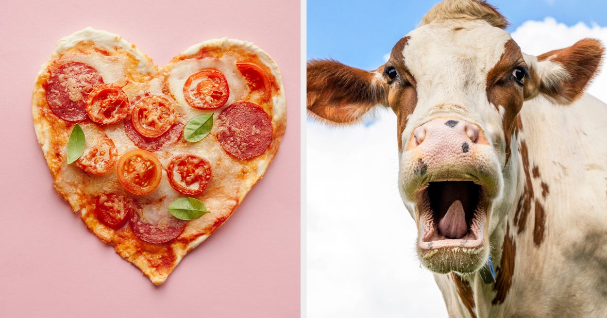 Farm Animal Pet Pizza Quiz