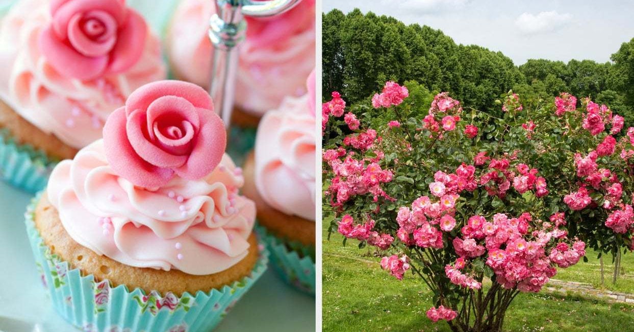 Which Garden Shrub Are You Based On The Custom Wedding Cake You Design?