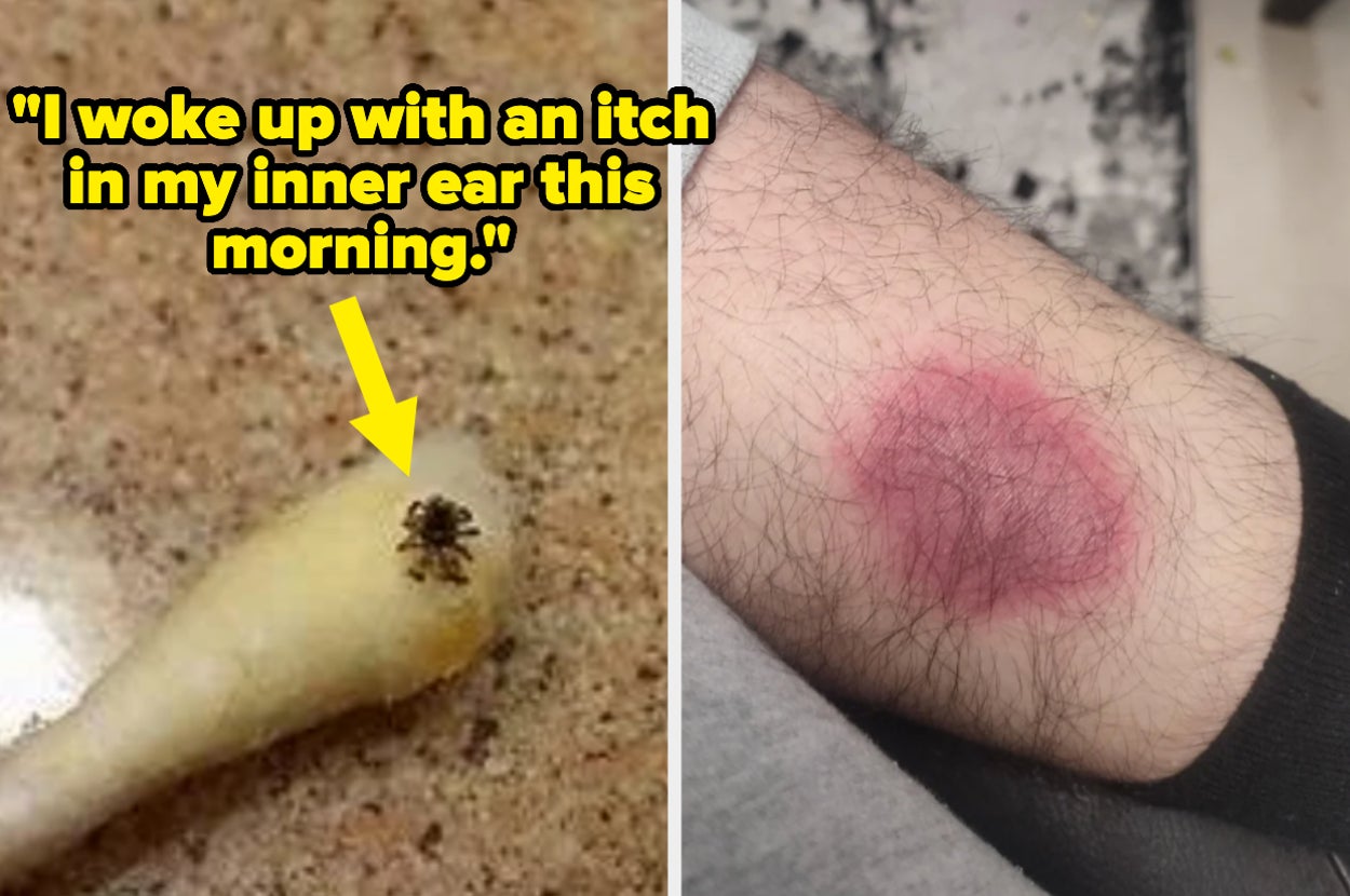 17 People Who Regretted Opening Their Eyes In The Morning