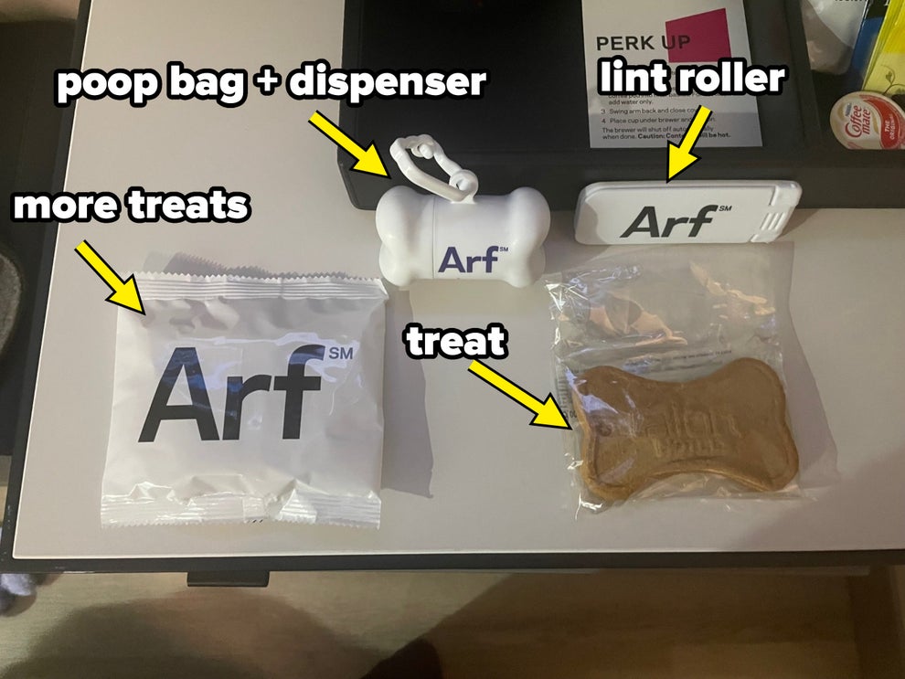 Aloft Hotels: ARF Pet Program Review