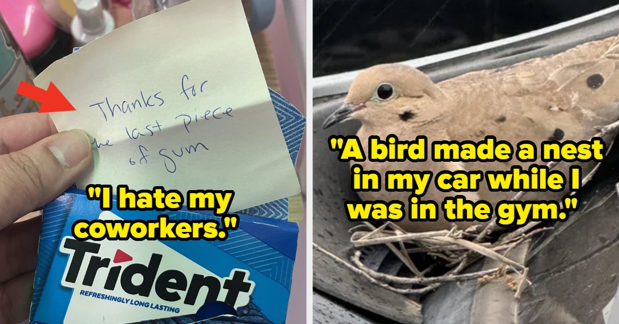 44 Of The Best Reddit Posts From April 2024