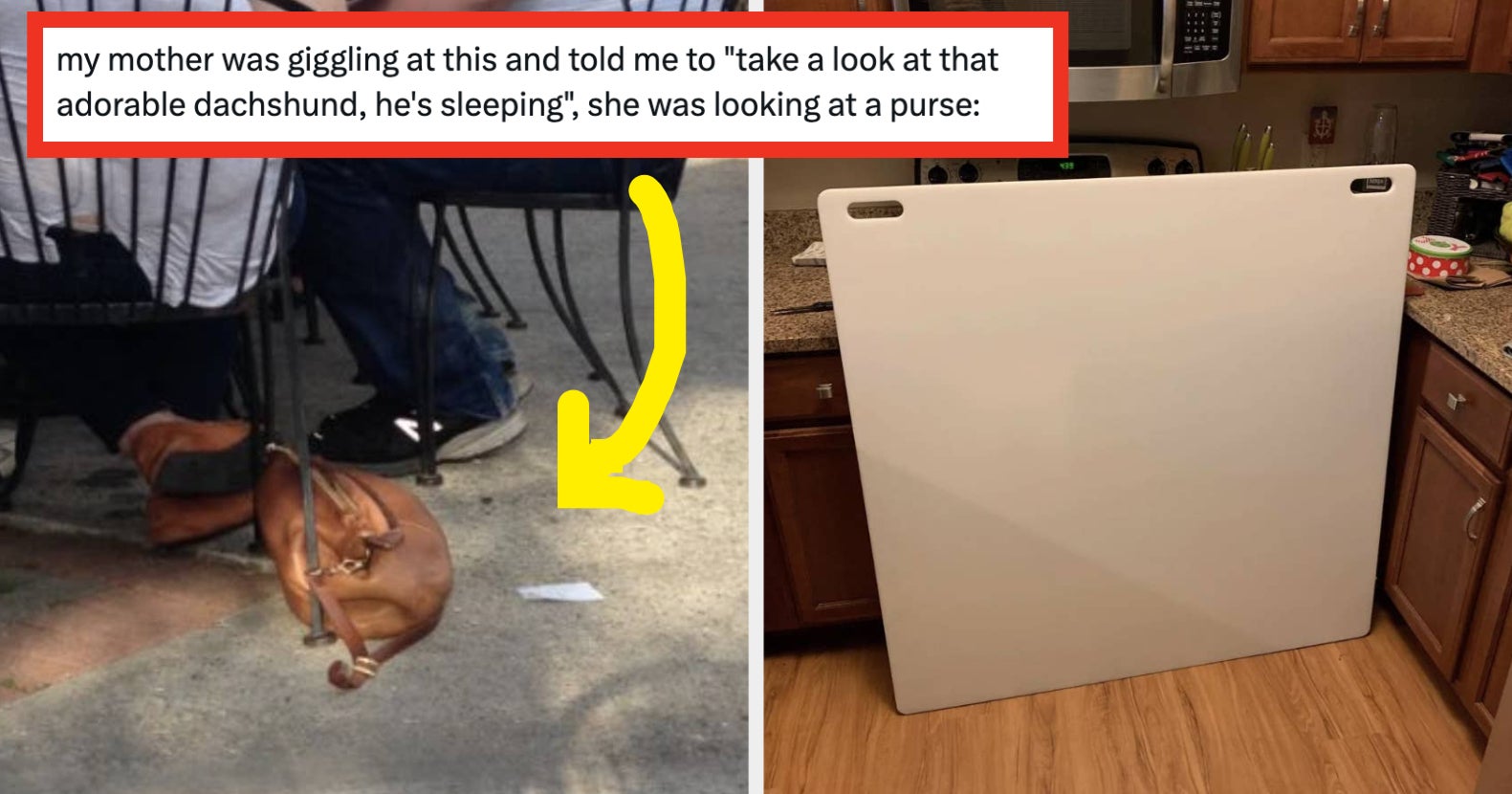 16 Hilarious Misinterpretations You Need To See