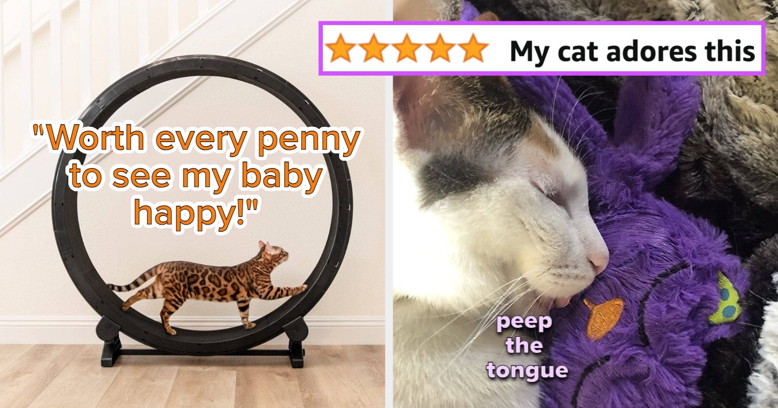 what does cat purring do