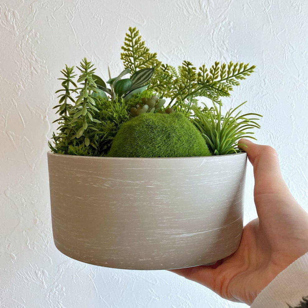 【イケア】「このリアルさで、このお値段！」「置くだけでオシャレ」本物そっくりの《植物インテリア》盆栽みたいで癒される！