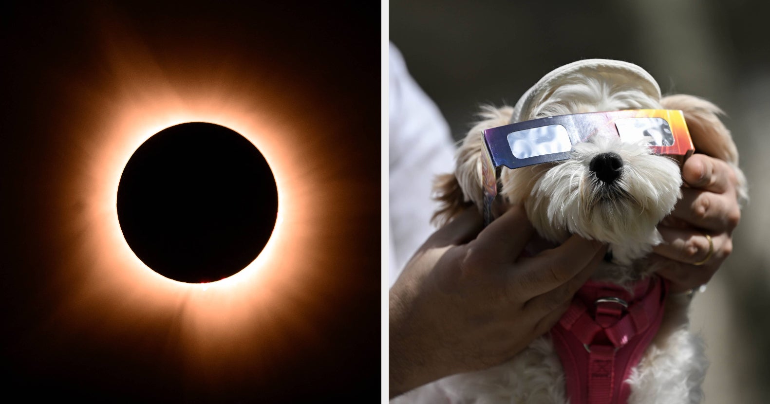 16 Stunning Photos Of What Monday's Rare Total Solar Eclipse Looked ...