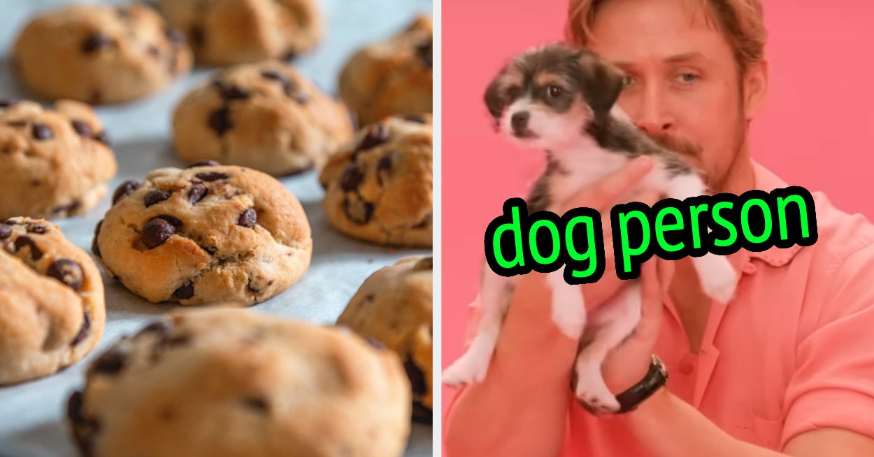 Cat Person Or Dog Person Fun Activities Quiz