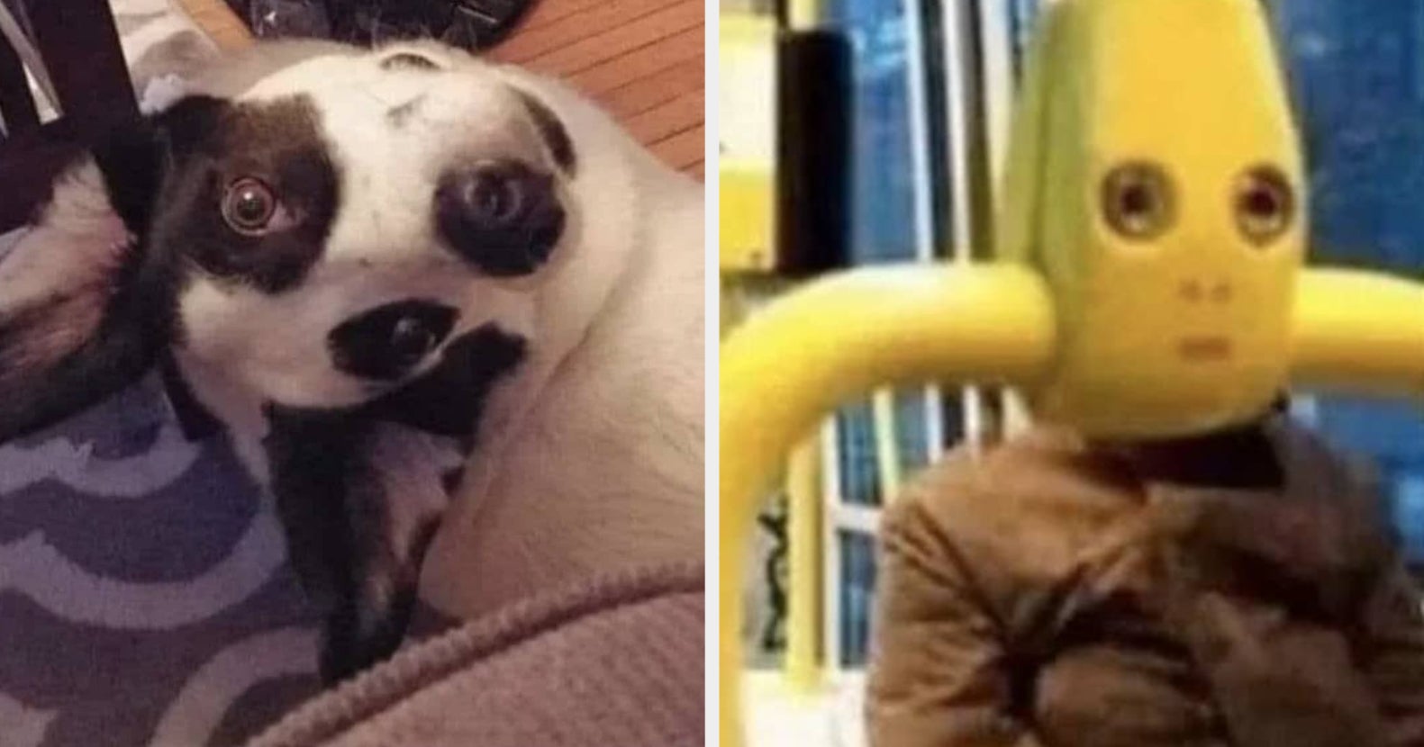 Visual Illusions: 19 Photos Challenging Perceptions