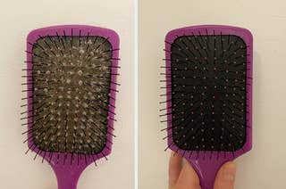 Danielle Healy (daniellehealy) on BuzzFeed