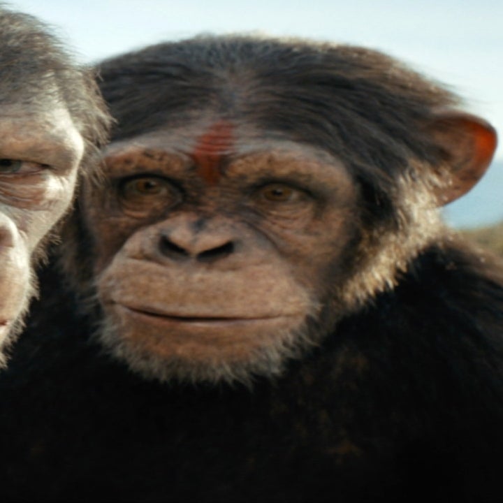 The Kingdom Of The Planet Of The Apes Cast Guide