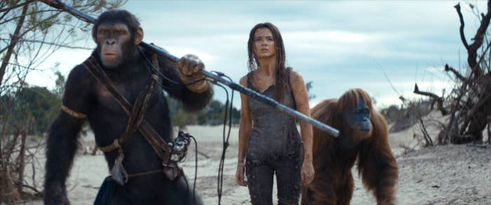 The Kingdom Of The Planet Of The Apes Cast Guide