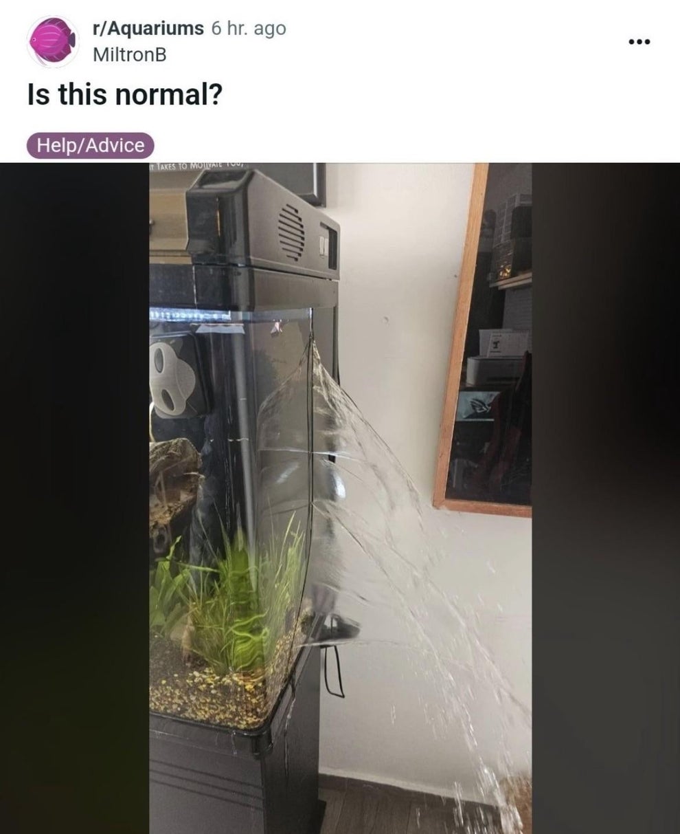 17 Stupid But Funny Photos