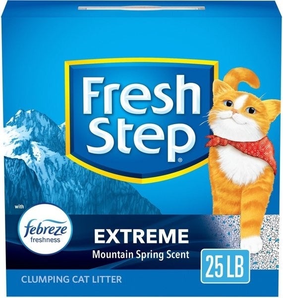 25 Helpful Chewy Products Cat-Owners