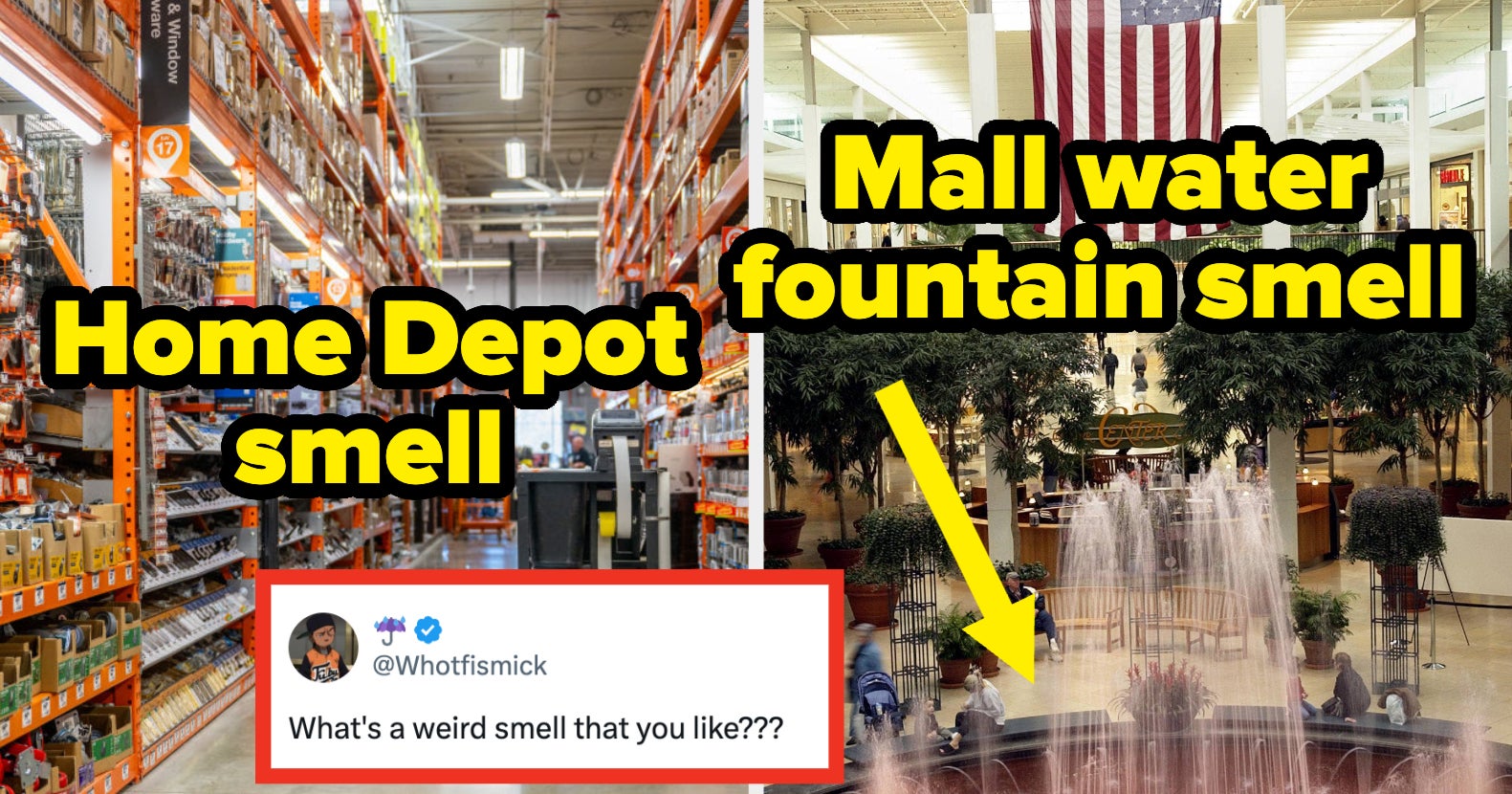 29 Weird Smells People Actually Love