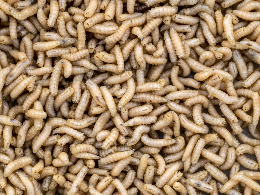 Brain Worm Warning Signs You Should Know, According To A Doctor