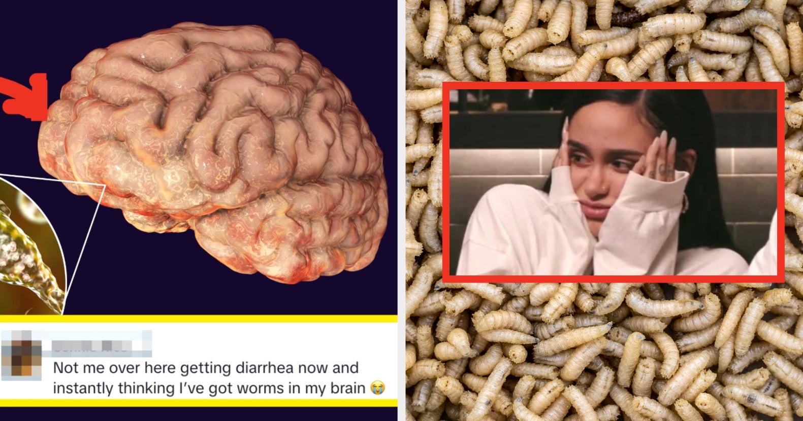 Brain Worm Warning Signs You Should Know, According To A Doctor