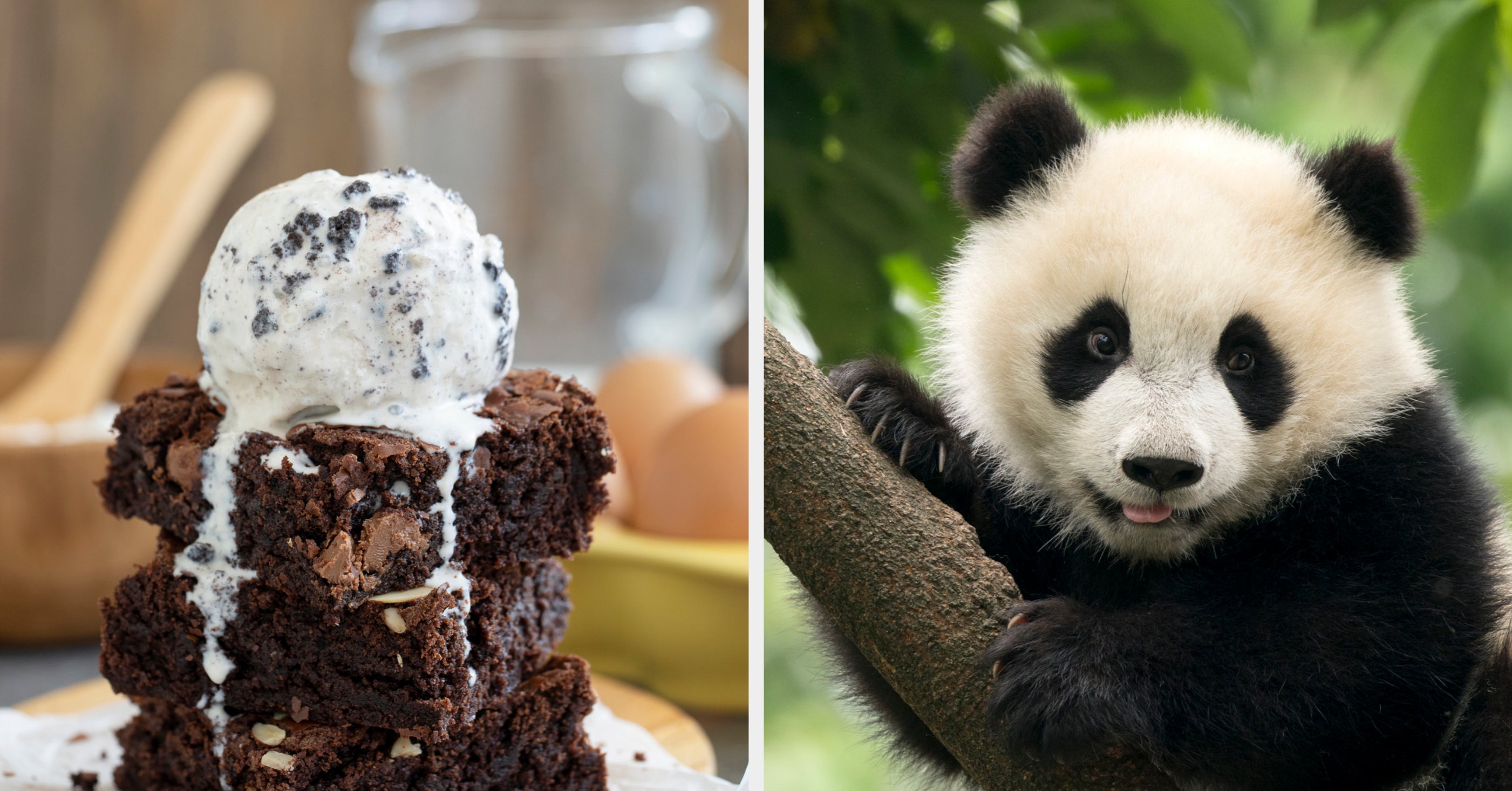 I Will Reveal Which Animal Best Describes You Based On What You Eat In ...