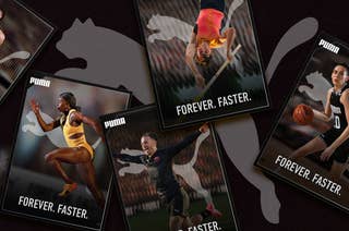 Brandon Constantine (brandon-constantine) on BuzzFeed