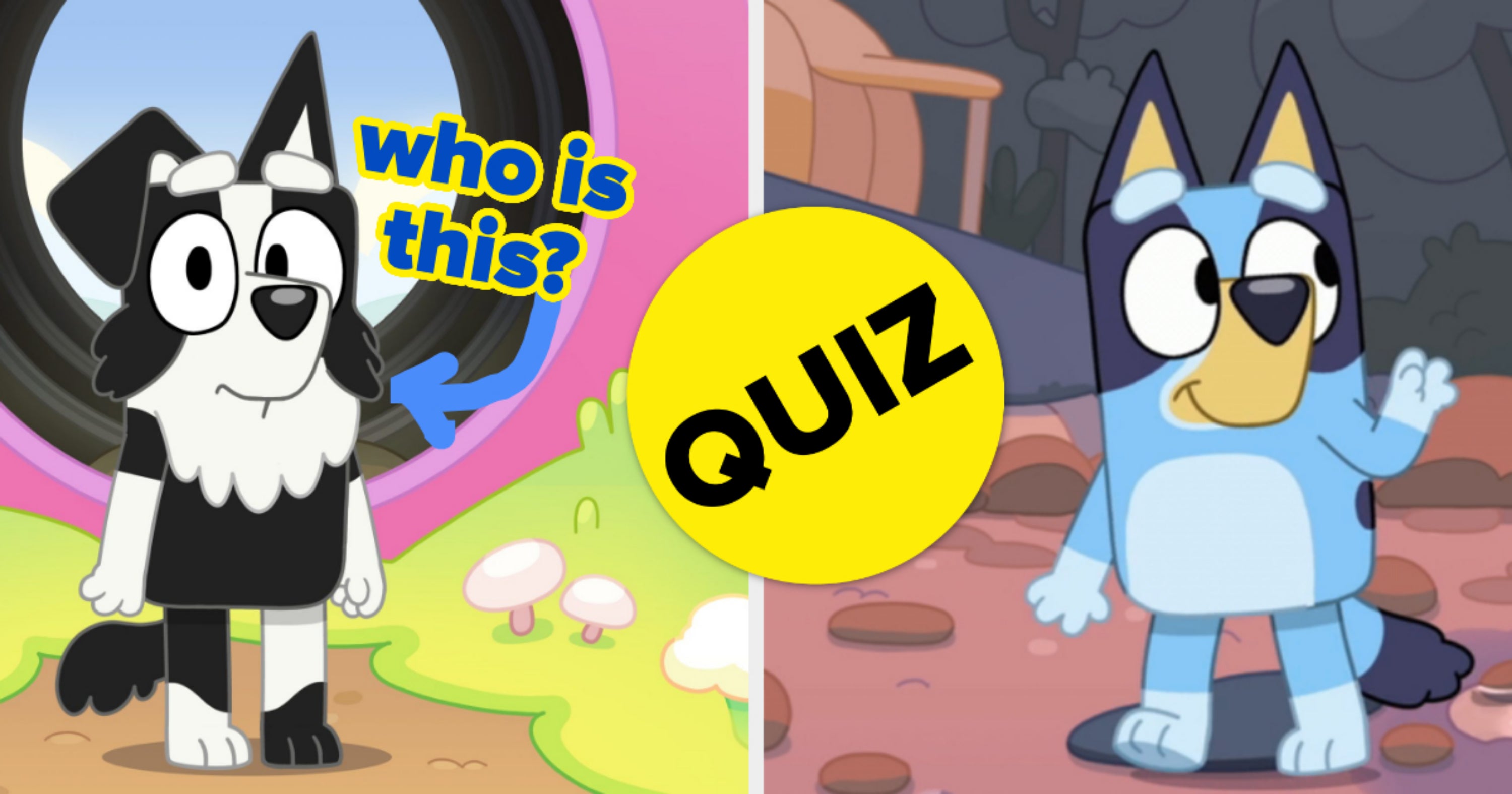 Bluey TV Show Trivia Quiz
