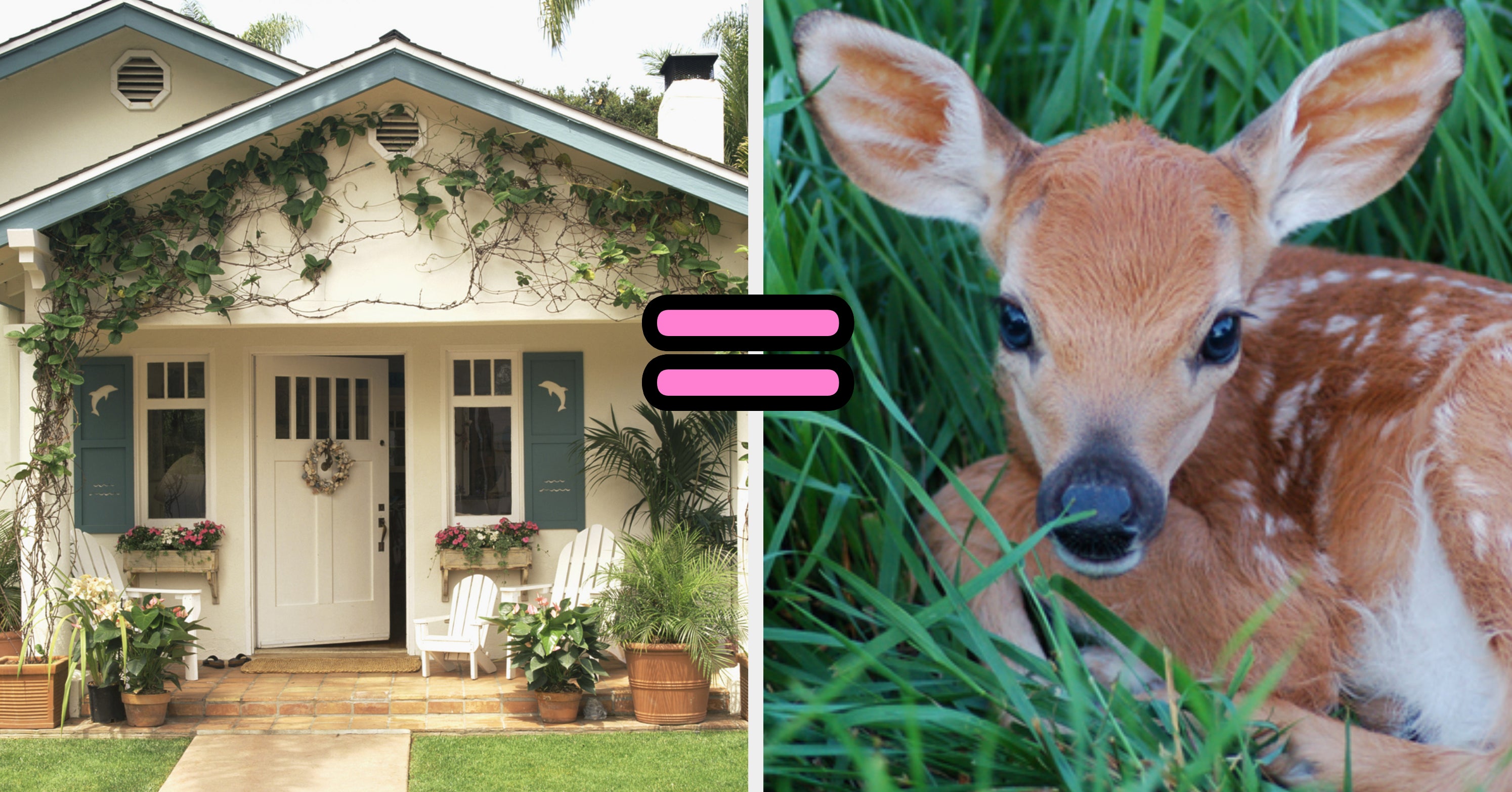 Design A House And We'll Tell You Which Animal You Most Resemble