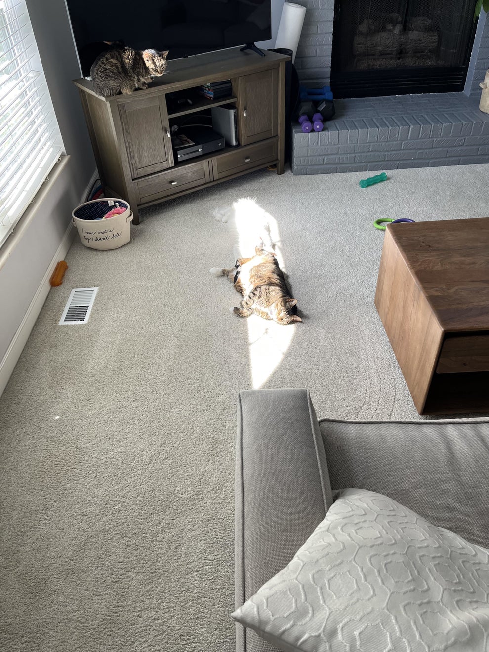 Vision Quiz:13 Photos With Super Tricky Hidden Objects