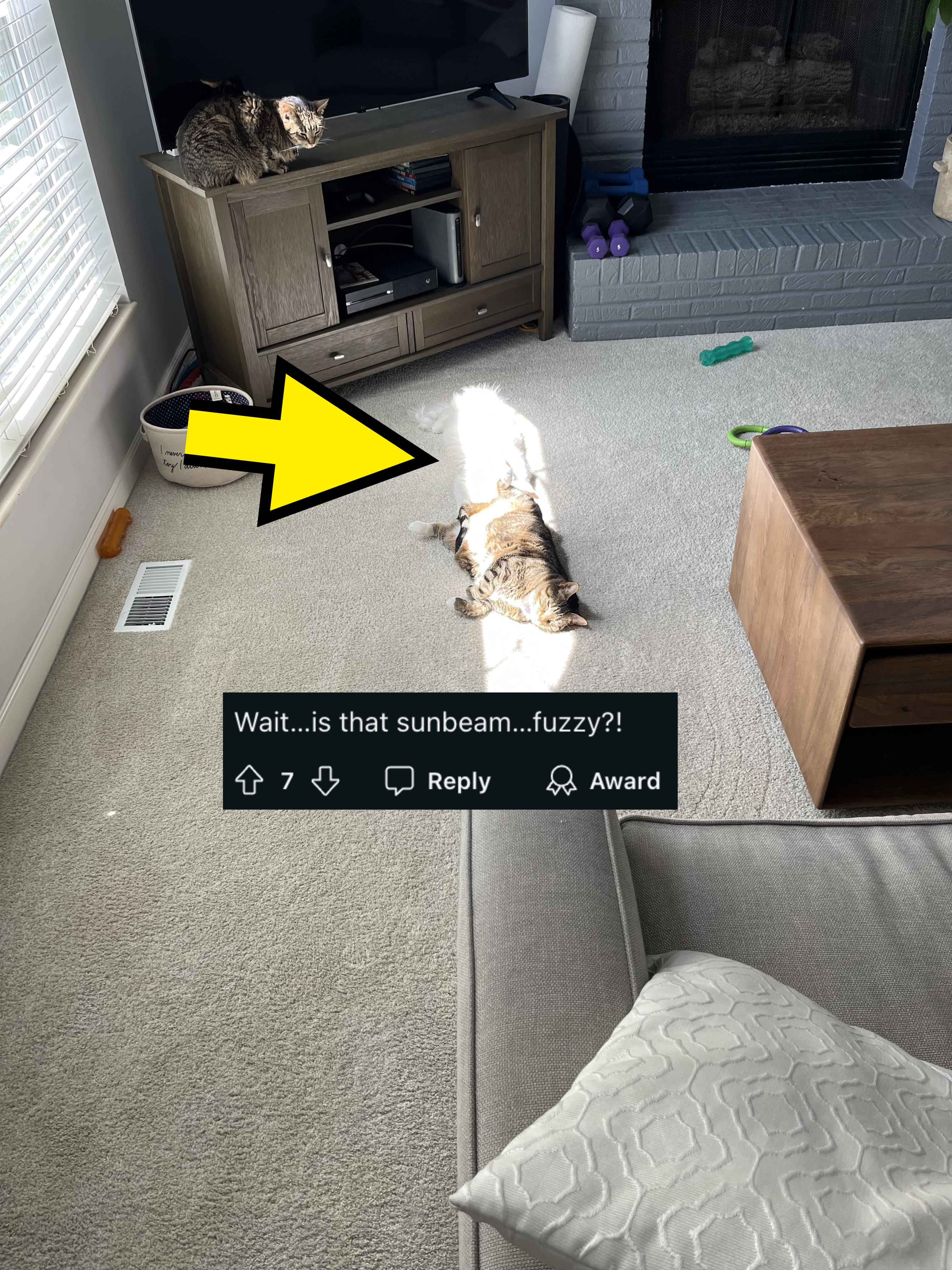 Vision Quiz:13 Photos With Super Tricky Hidden Objects