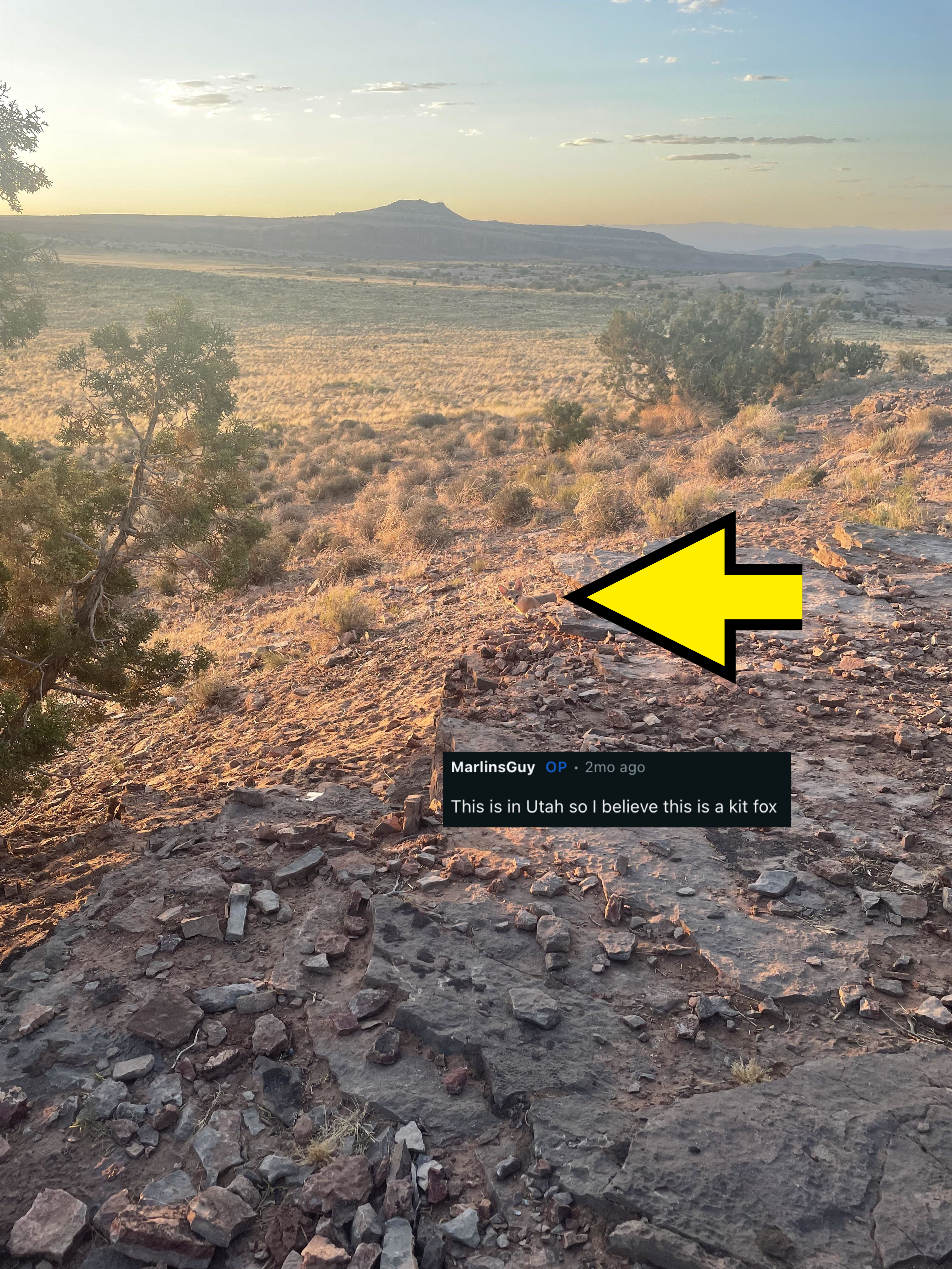 Vision Quiz:13 Photos With Super Tricky Hidden Objects