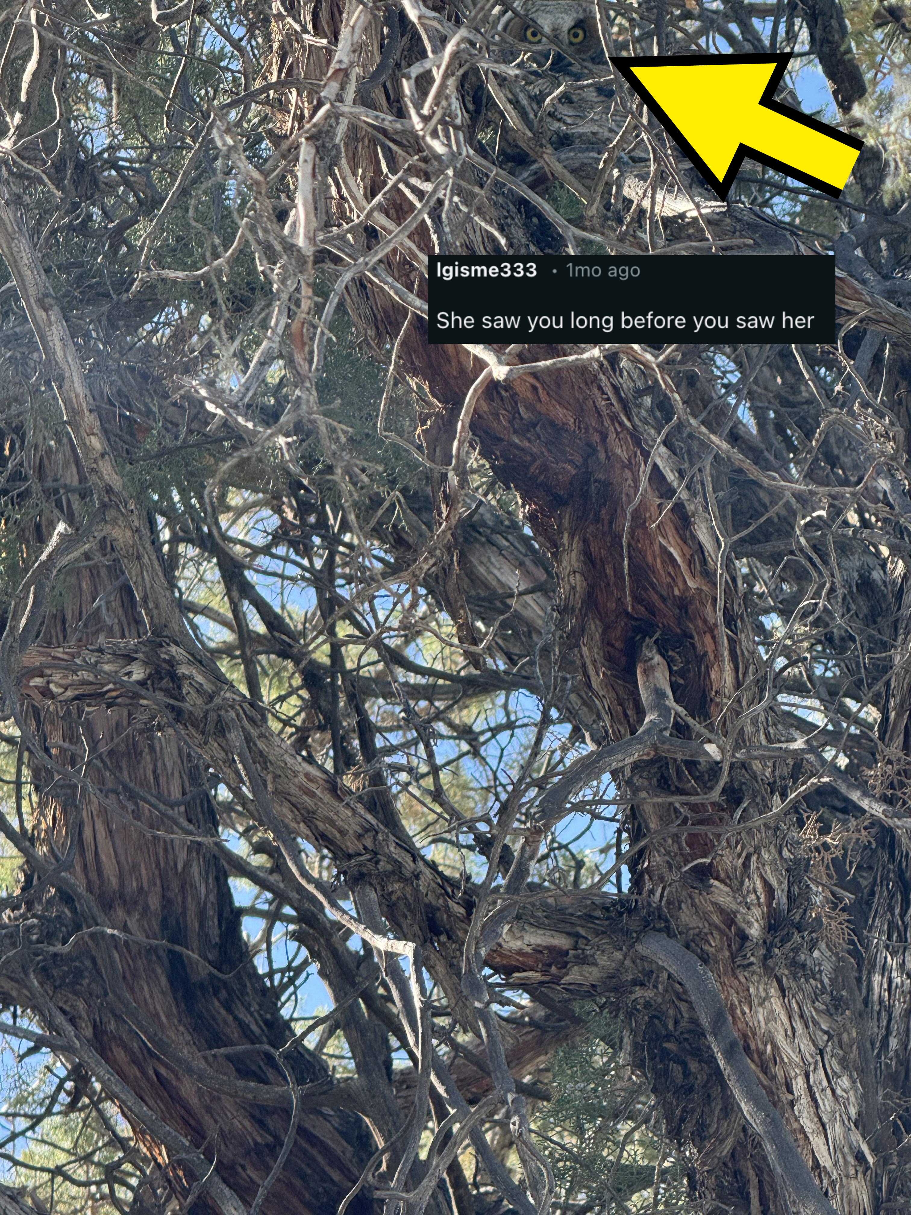 Vision Quiz:13 Photos With Super Tricky Hidden Objects