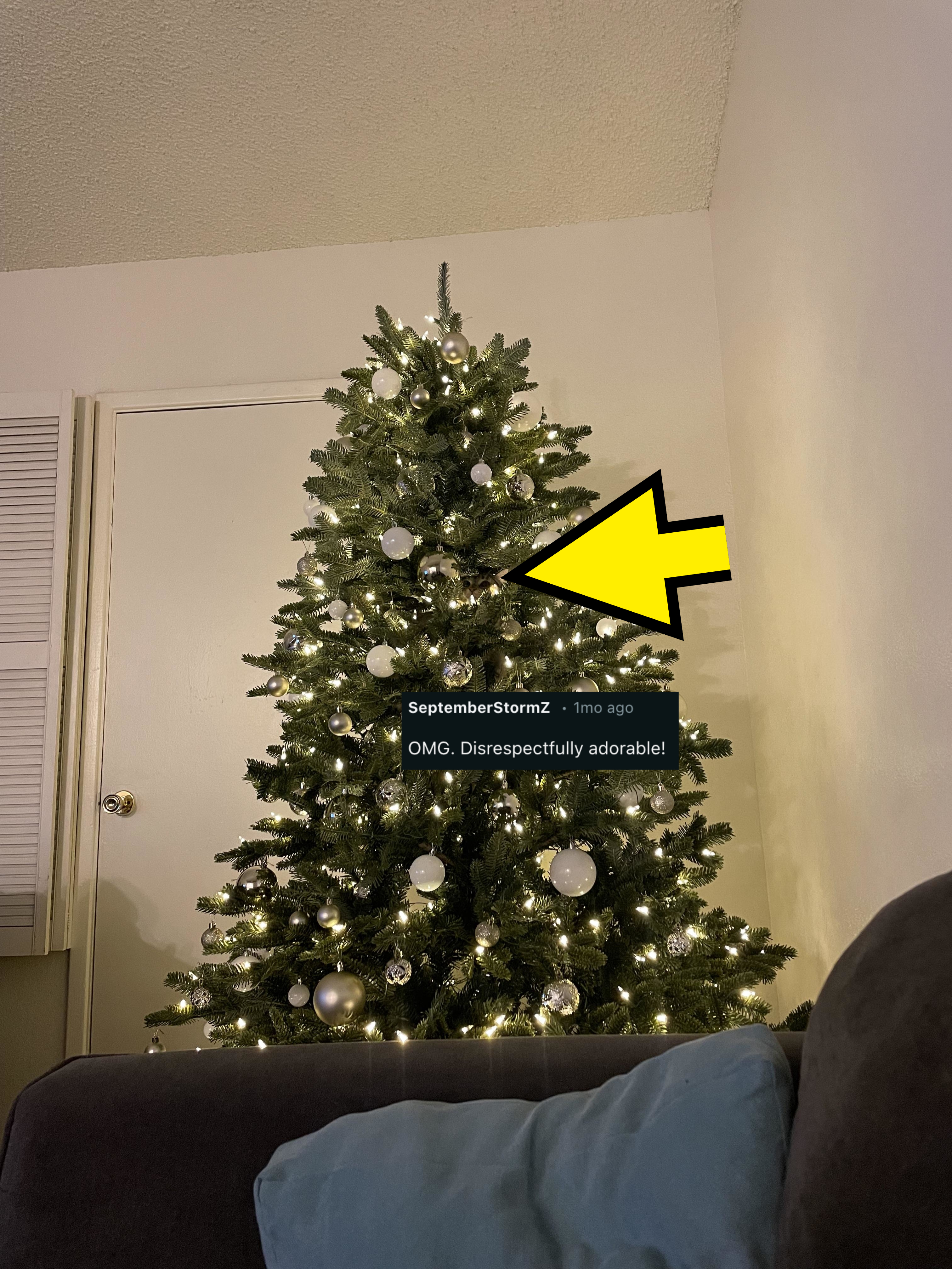 Vision Quiz:13 Photos With Super Tricky Hidden Objects