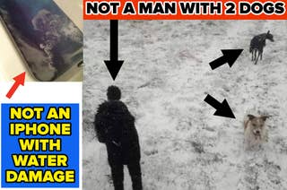 Krista Torres (kristatorres) on BuzzFeed