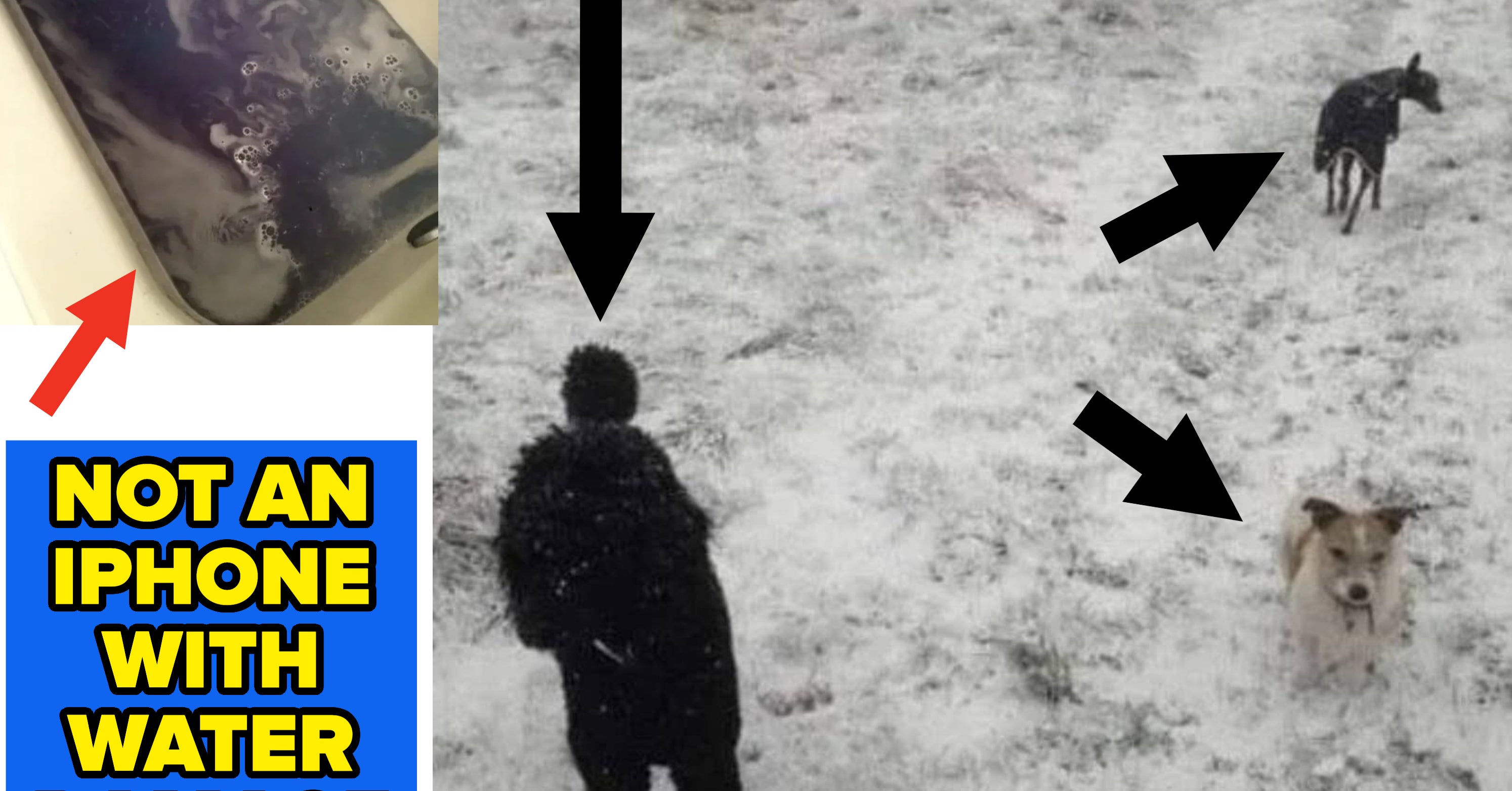 Your Brain Is Sharp If You Can Decode These Confusing Photos