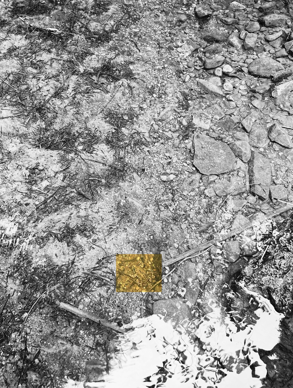 Can You Find The Hidden Objects In These 13 Photos