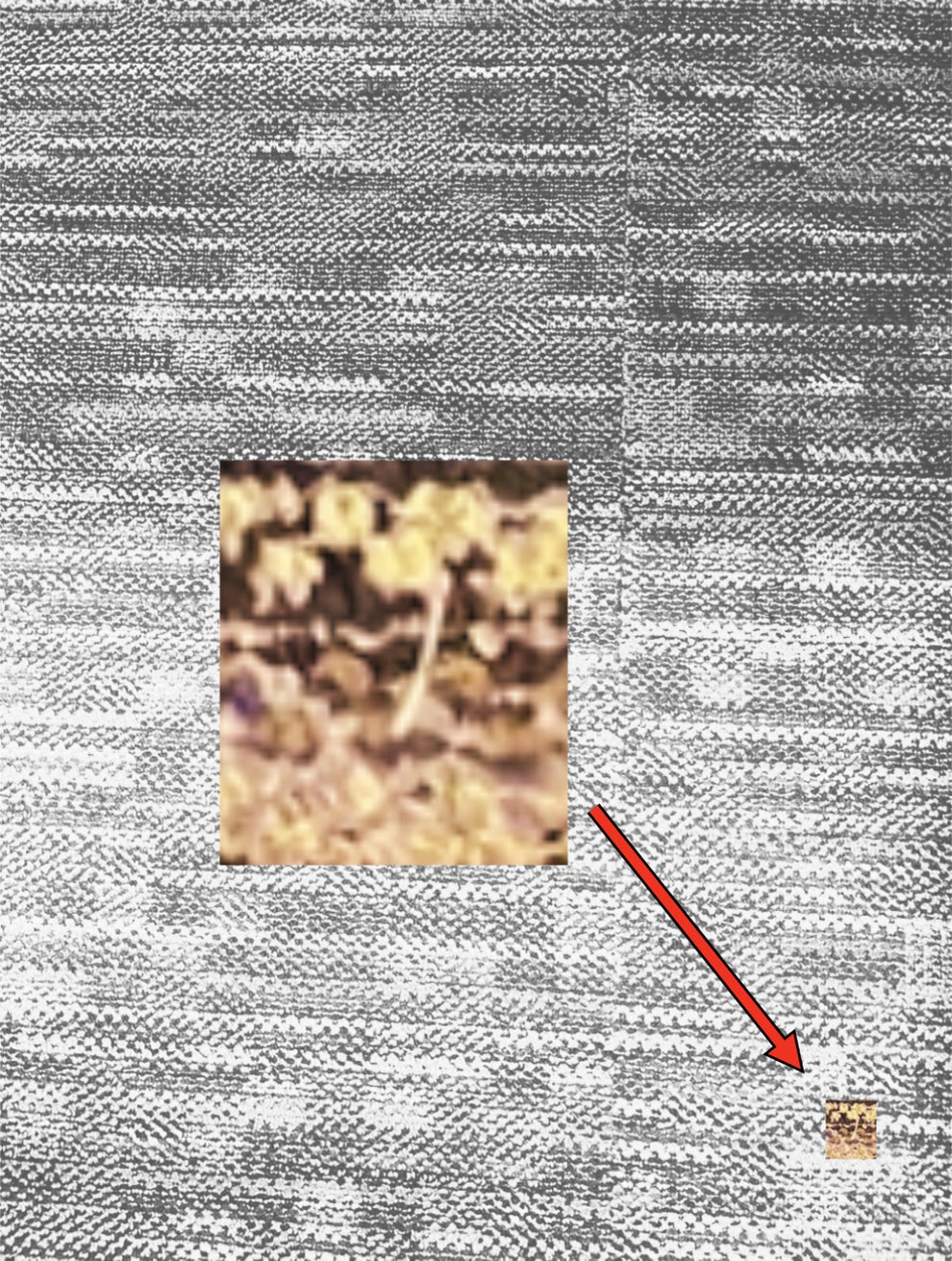 Can You Find The Hidden Objects In These 13 Photos