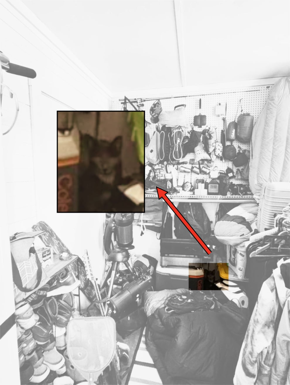 Can You Find The Hidden Objects In These 13 Photos