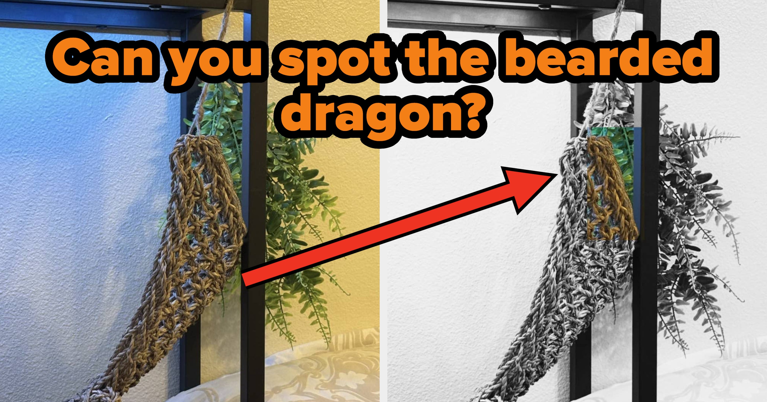 Can You Find The Hidden Objects In These 13 Photos