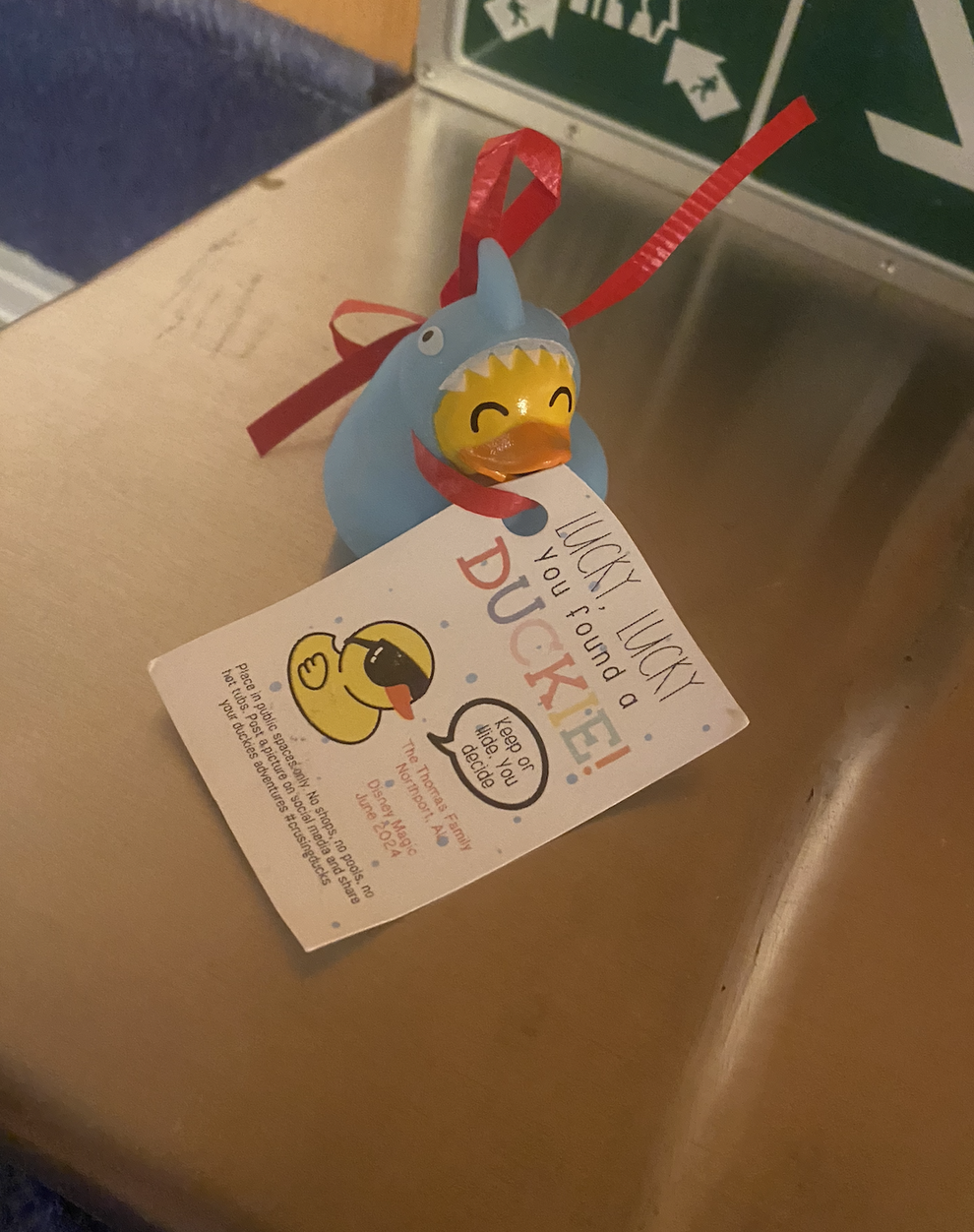 Disney Cruise With A Toddler Review