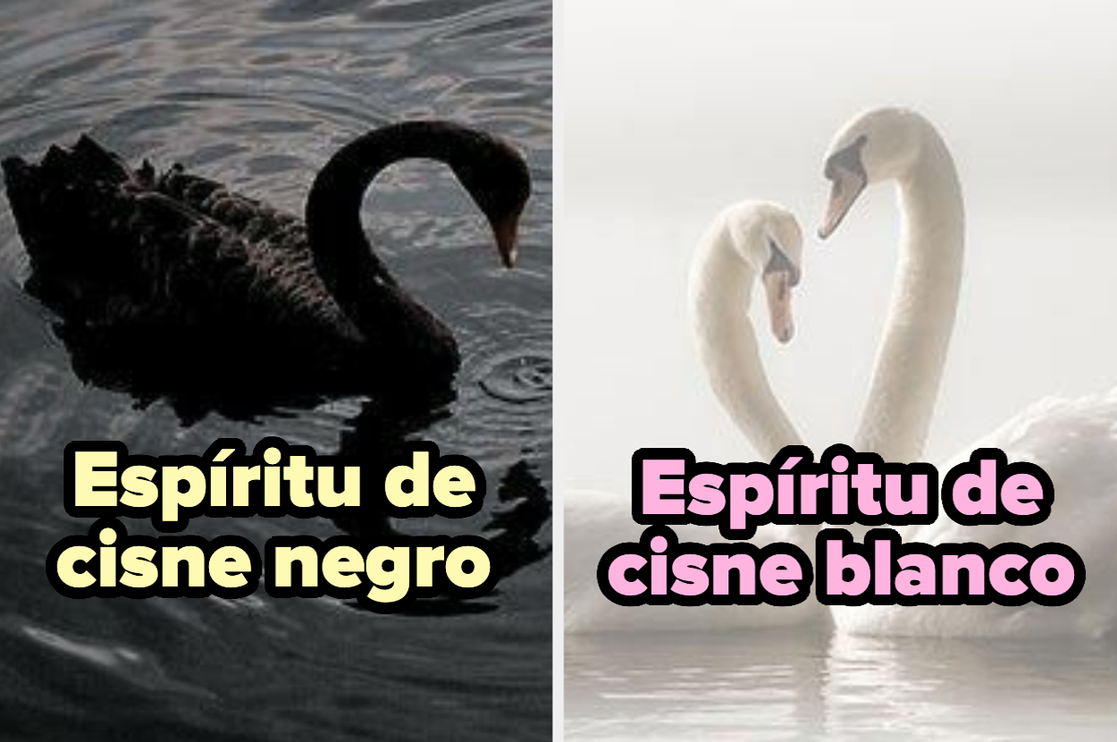Elige entre estos colores y te diré si tienes espíritu de cisne negro o ...
