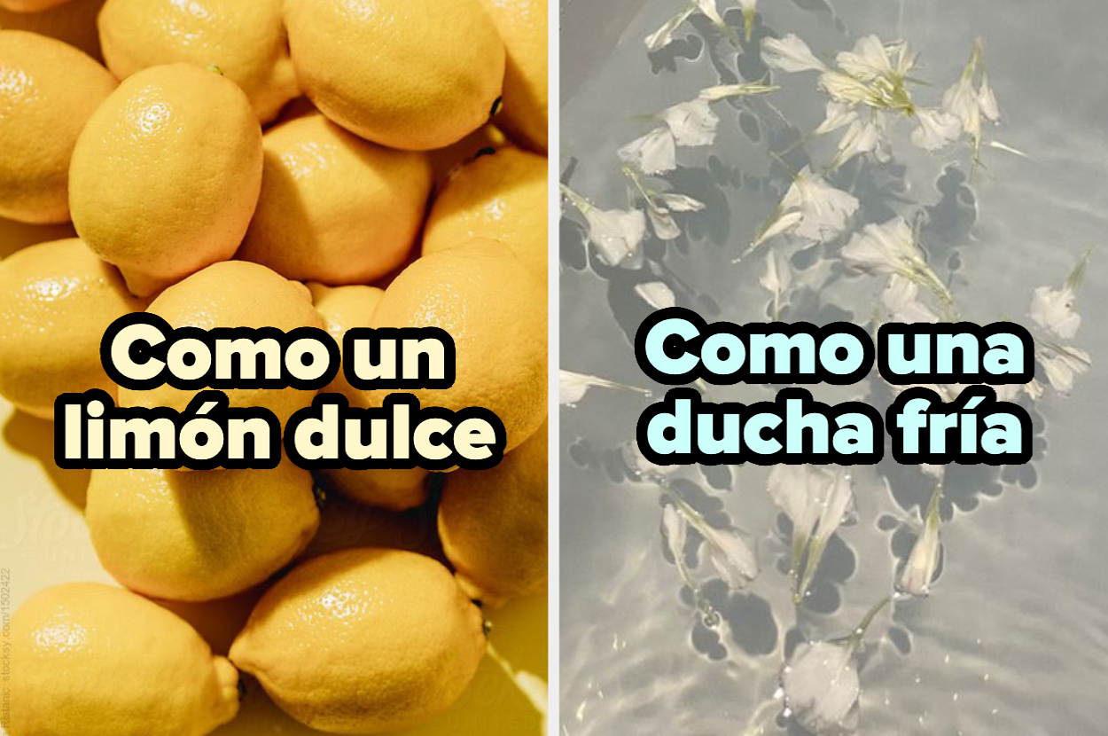 Elige entre estos objetos bonitos y te enseñaré cómo se siente tu mirada Elige entre estos objetos bonitos y te enseñaré cómo se siente tu mirada