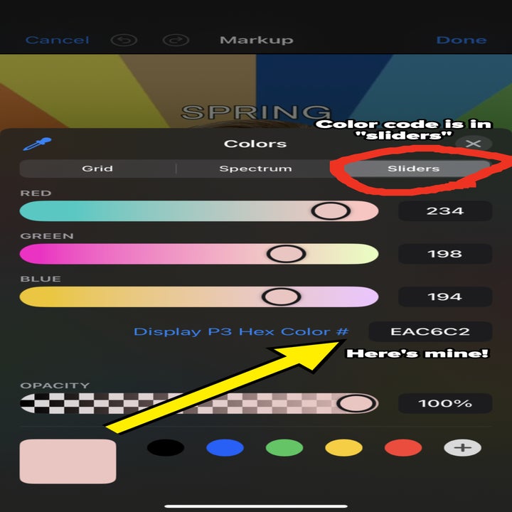 I Tried AI Color Analysis For Free Using AI TikTok Hack